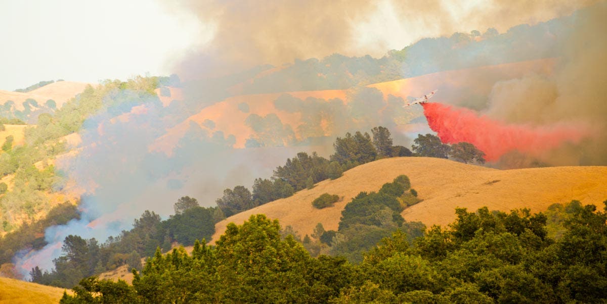 UPDATE: Mt. Diablo Fire Mostly Contained | Danville, CA Patch