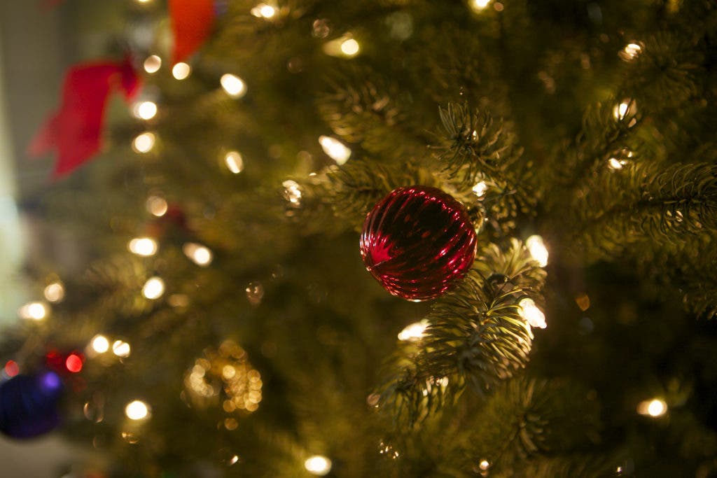 12 Things You Didn't Know About Christmas | Union City, CA Patch