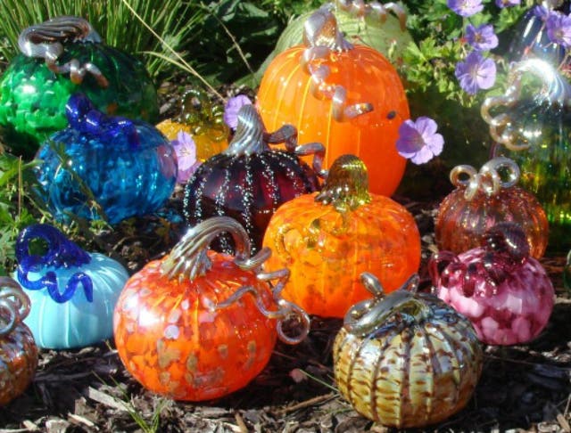 The Great Northwest Glass Pumpkin Patch | Gig Harbor, WA Patch