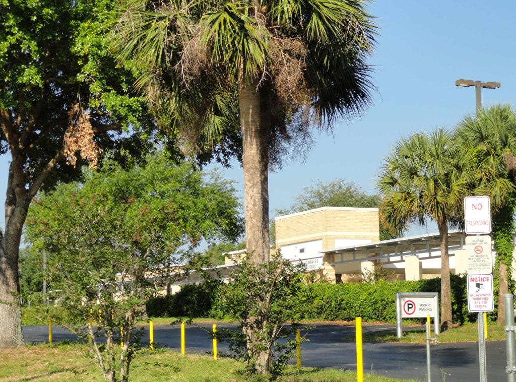 Carwise Middle Wins For Food Drive | Palm Harbor, FL Patch