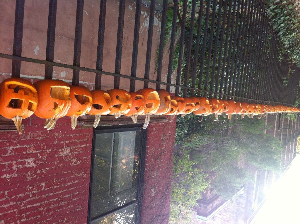 Cobble Hill's Impaled Pumpkin Heads | Carroll Gardens, NY Patch