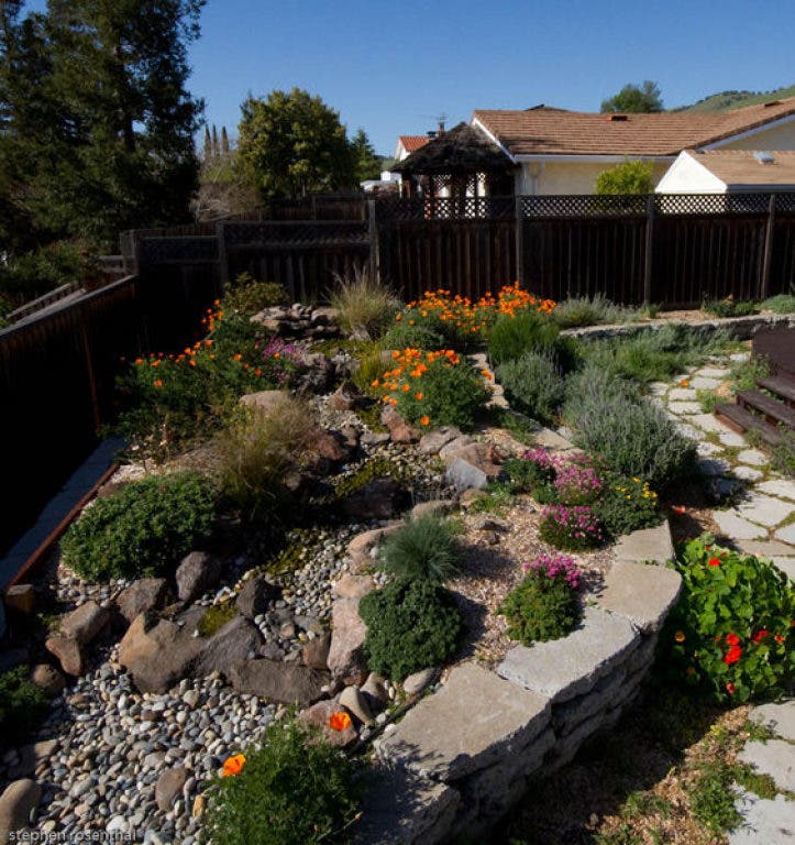 Native Plant Sale at Hidden Villa Ranch in Los Altos Hills | Los Altos ...