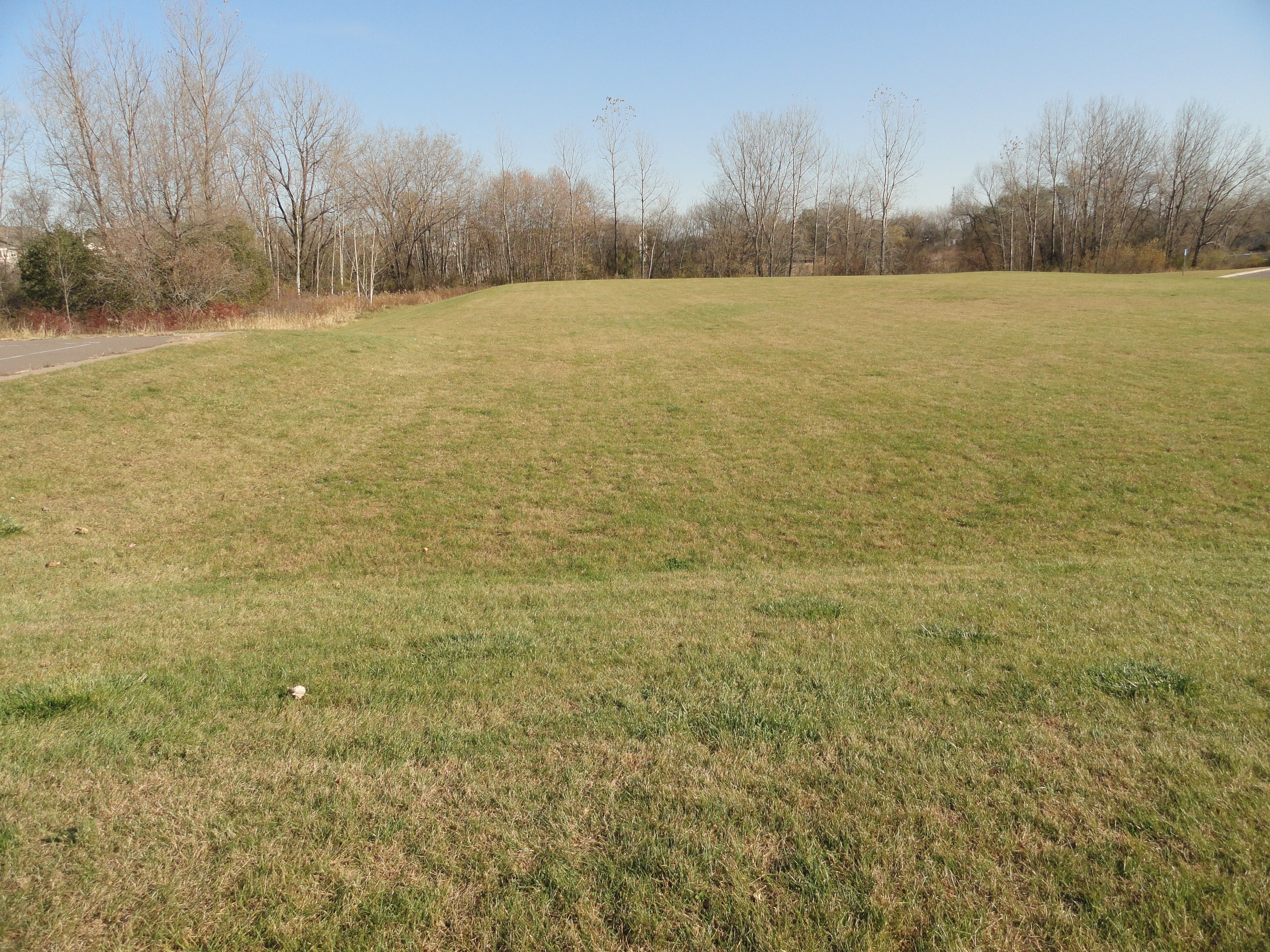 Wild Animals Threaten Success of Community Garden at Golfview Park ...