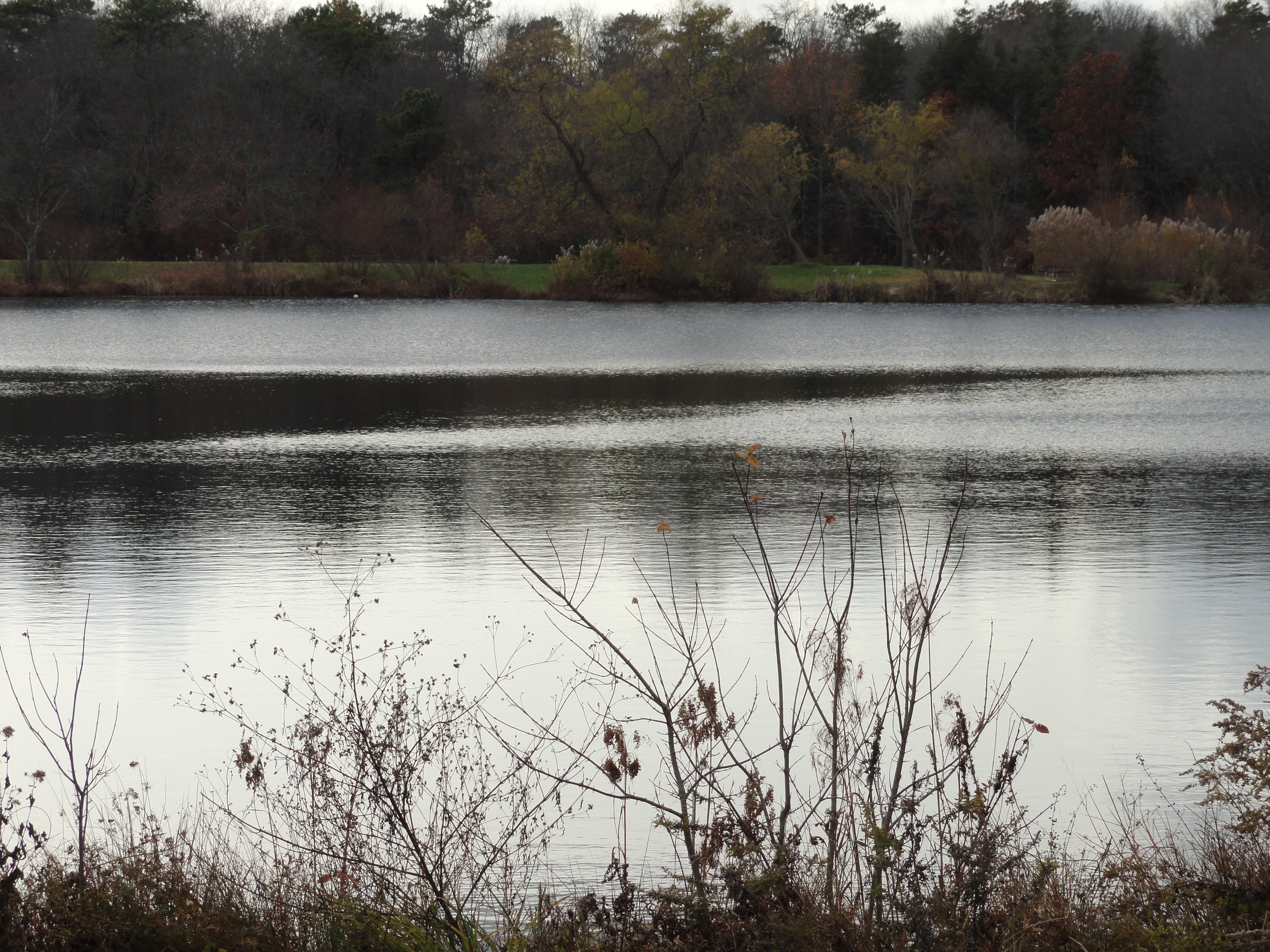 Five Places to Enjoy Nature in Howell | Howell, NJ Patch