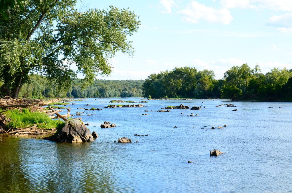 PHOTOS: A Summer's Day at Swains Lock | Potomac, MD Patch