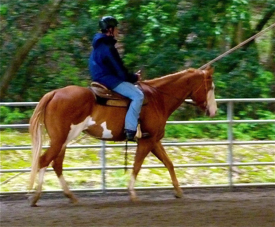 Autistic Teen to Join Experienced Cowboys at Rowell Rodeo's Celebrity ...