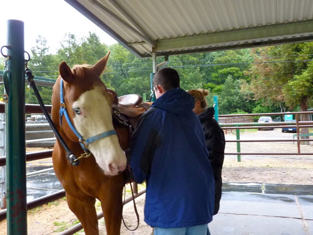 Autistic Teen to Join Experienced Cowboys at Rowell Rodeo's Celebrity ...