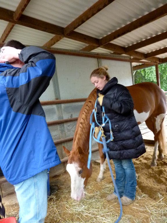 Autistic Teen to Join Experienced Cowboys at Rowell Rodeo's Celebrity ...