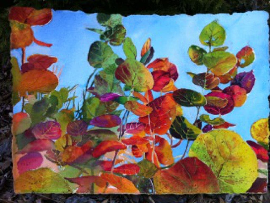 The Creativity Files: Robin Borland | Roswell, GA Patch