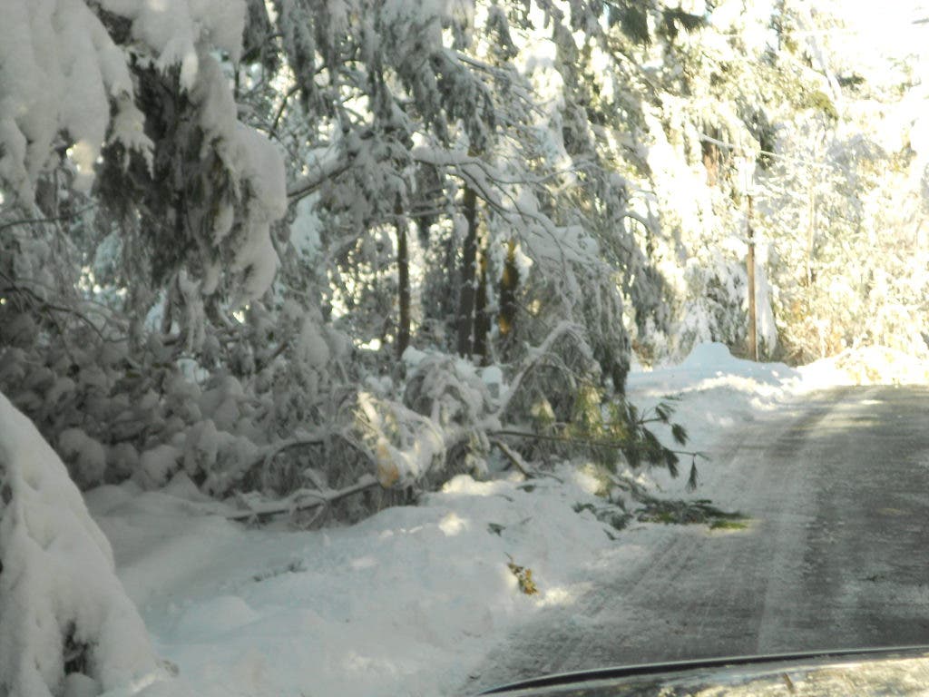 The October Snow Storm, In Pictures | Tolland, CT Patch