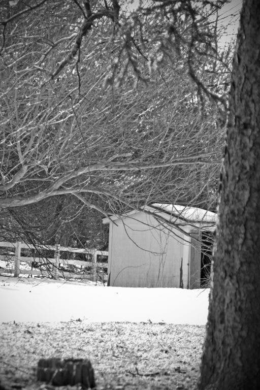 Viewfinder: Marion Carll Farm Retains its Charm | Commack, NY Patch