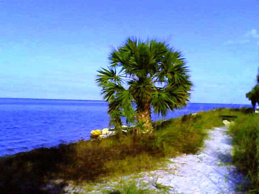 Fred Howard Park: A Natural Wonder | Tarpon Springs, FL Patch