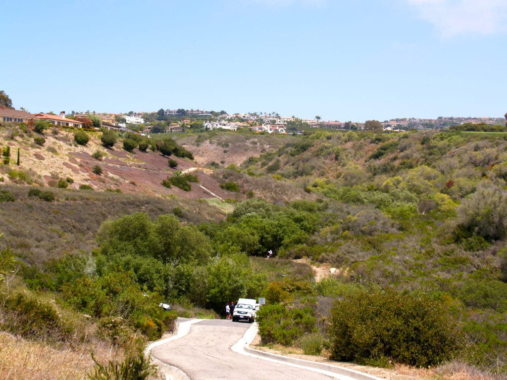 Revamped Upper Buck Gully Trails Open Newport Beach Ca Patch