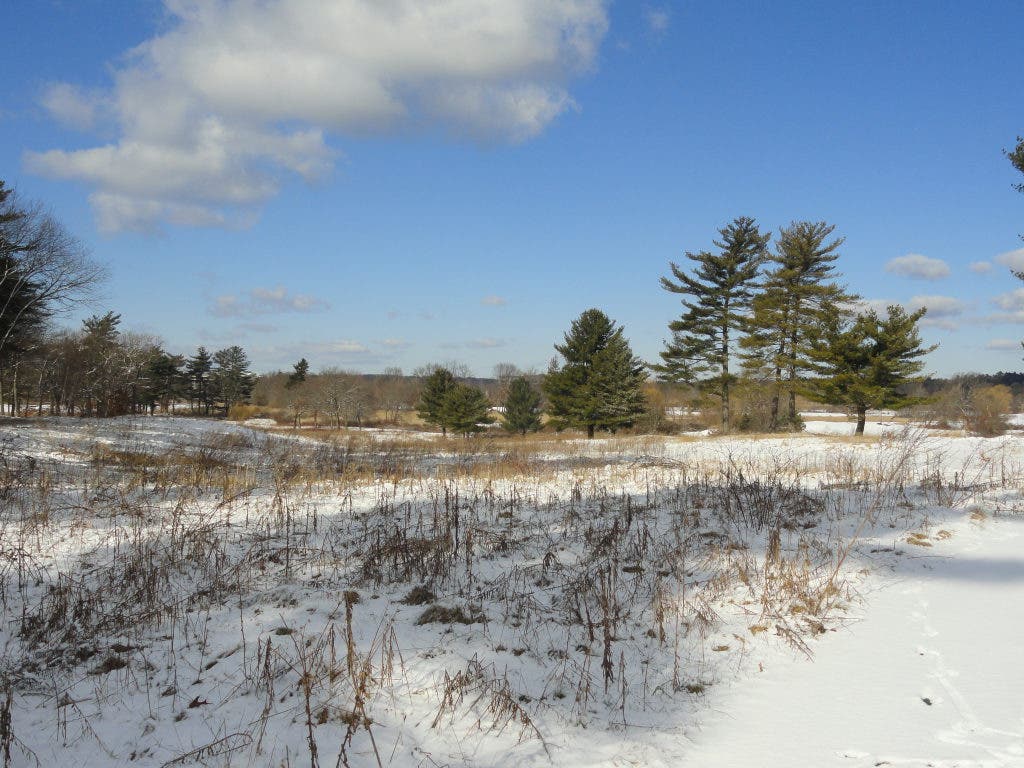 Region May Get First Snow Showers Today | Wakefield, MA Patch