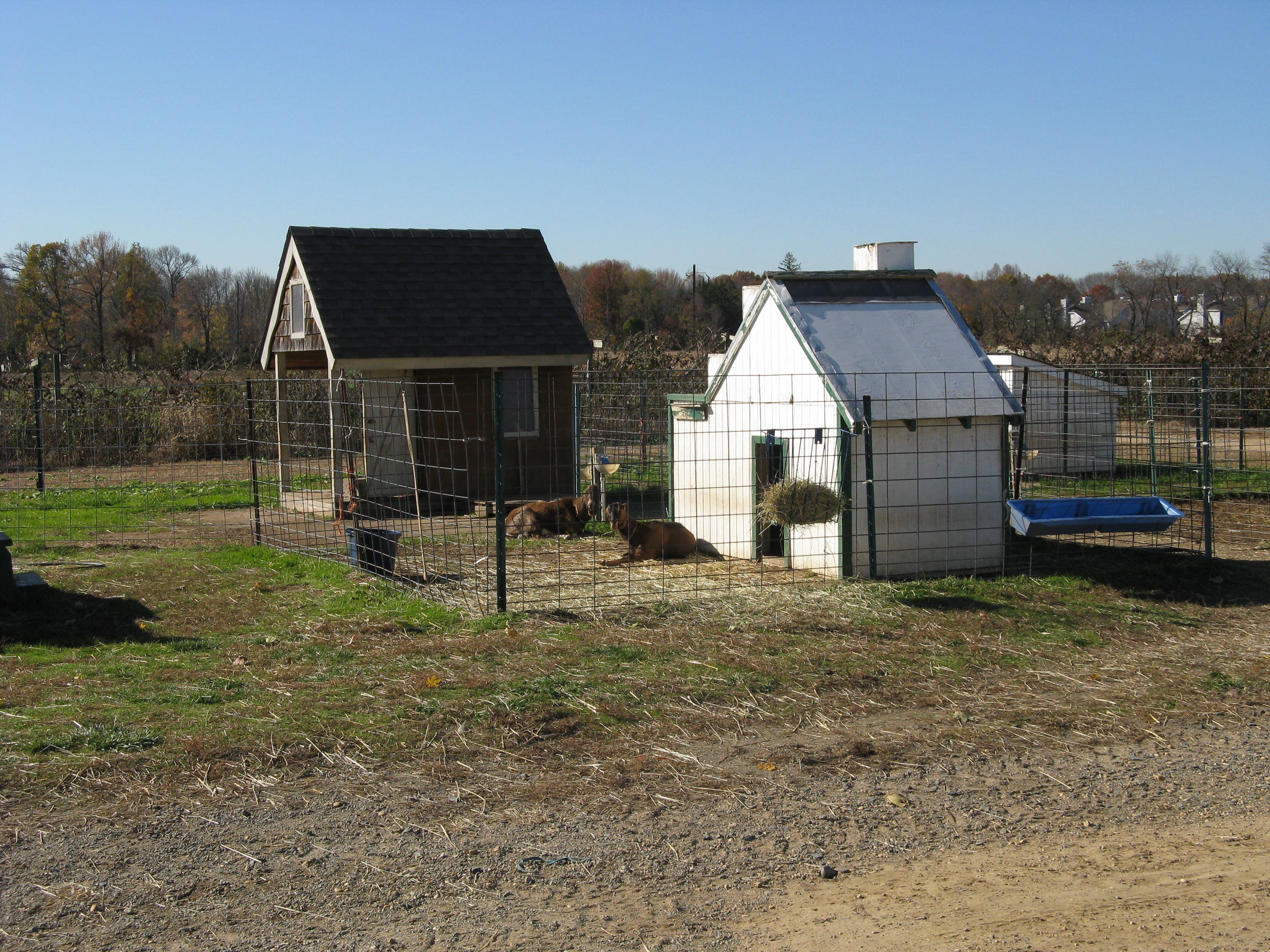 All in the Family at Von Thun Farms | South Brunswick, NJ Patch