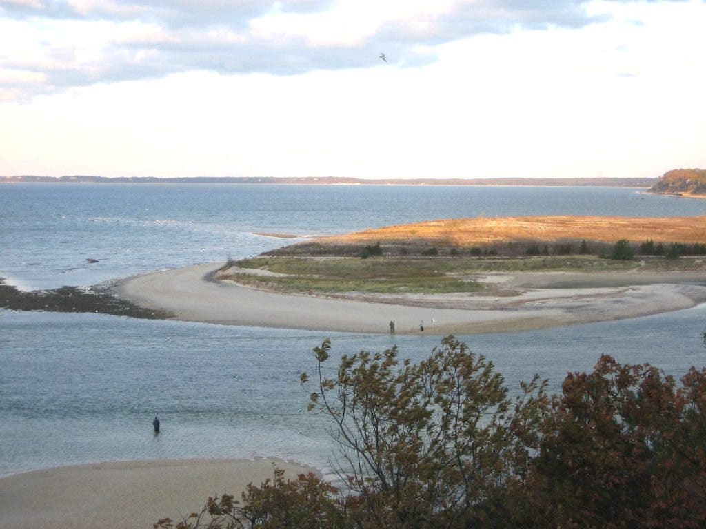 Photos: Summer at Short Beach | Smithtown, NY Patch