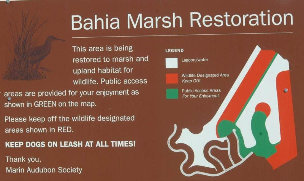 Reap the Sights at Bahia Marsh | Novato, CA Patch