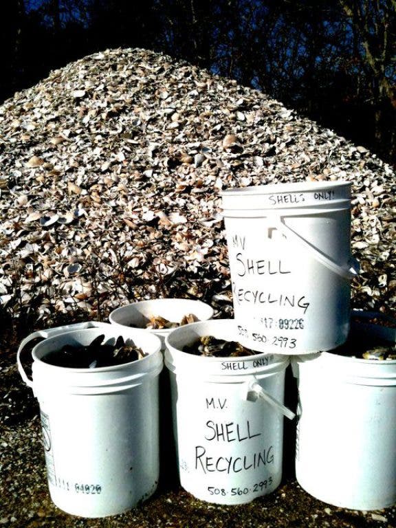 Our Shell Resource: Shell Recycling on Martha's Vineyard | Martha's ...