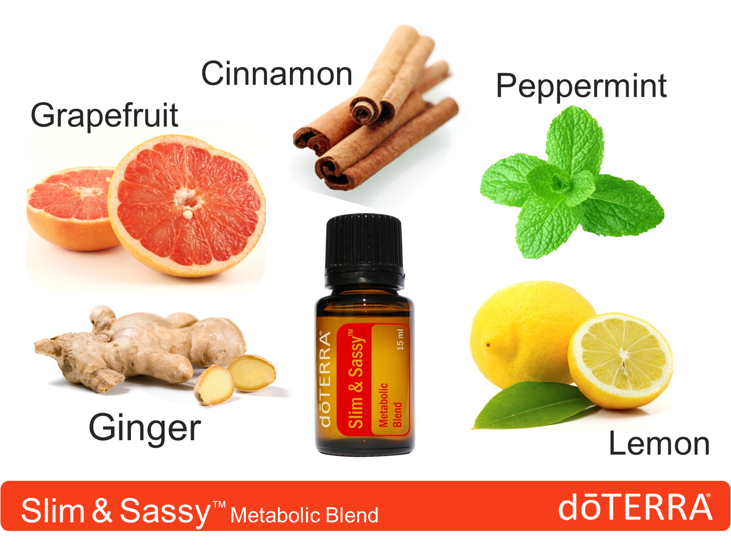 Essential Oil Workshop | Toms River, NJ Patch