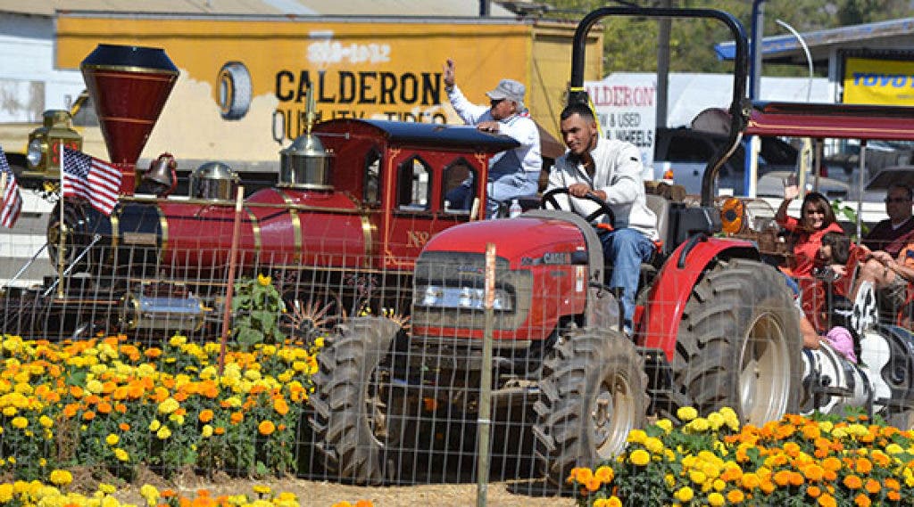 Giant Pumpkins Take Over Uesugi Farms | Gilroy, CA Patch