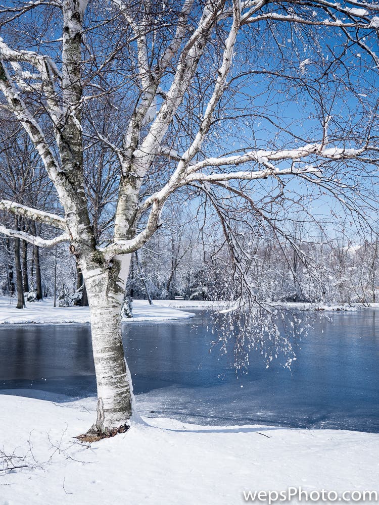 Endicott Park- Still Beautiful in Winter | Danvers, MA Patch