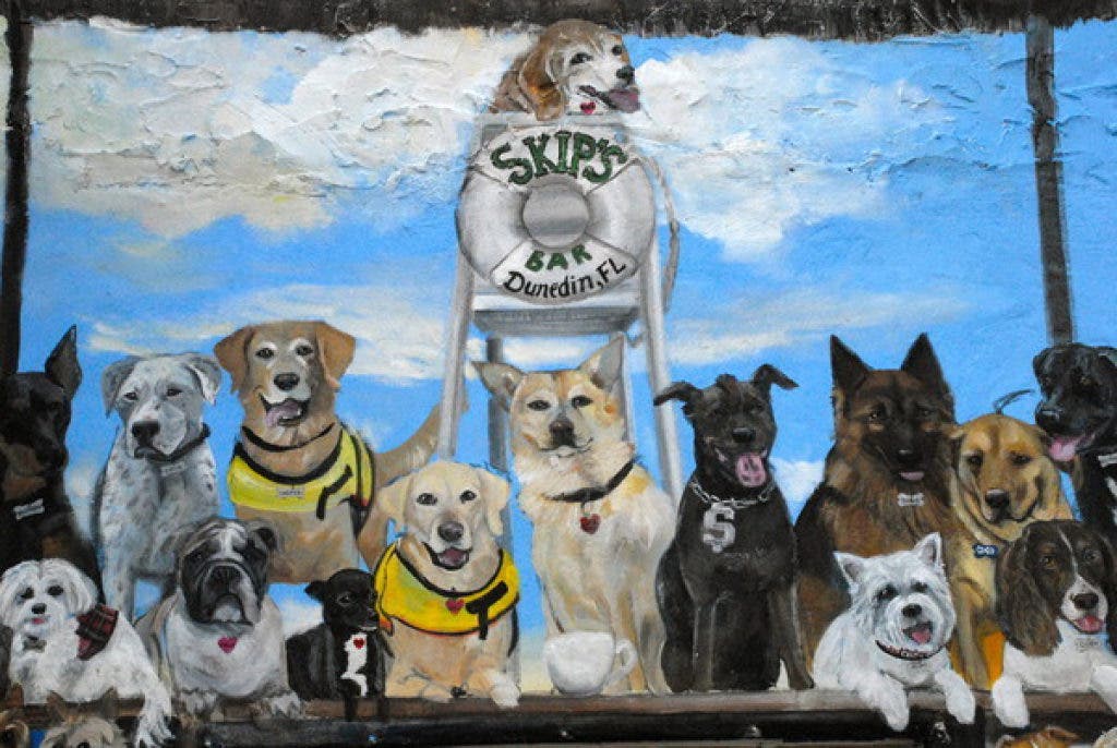 Murals For Mutts Comes to Largo's Animal Services' Shelter | Largo, FL ...