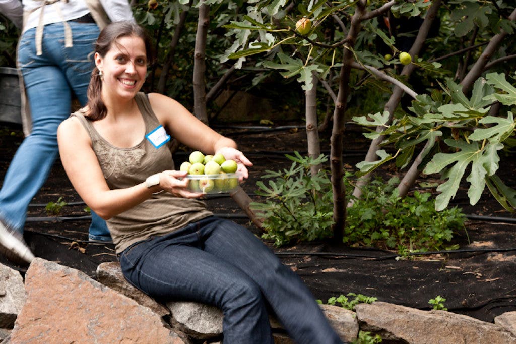 Ticonderoga Farms Hosts Fig Lover's Feast | Chantilly, VA Patch