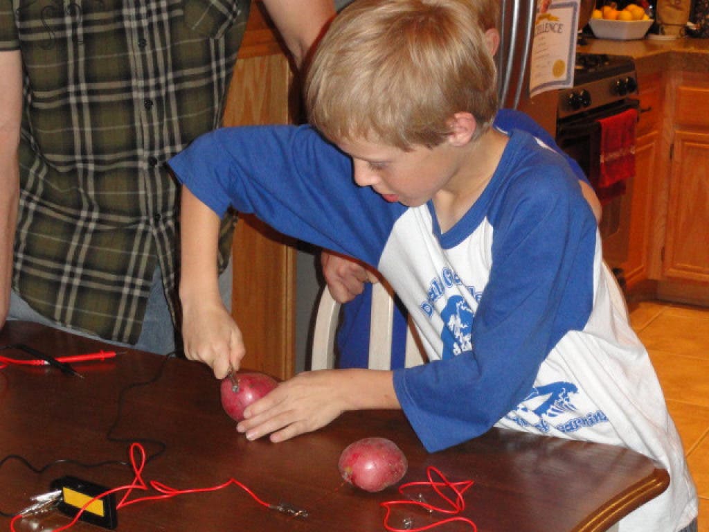 'Toy Story' Inspires Award-Winning Science Project | Lake Elsinore, CA ...