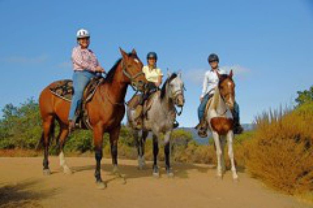 Garrod Farms: A Century Plus of Horseback Riding Saratoga Hills ...