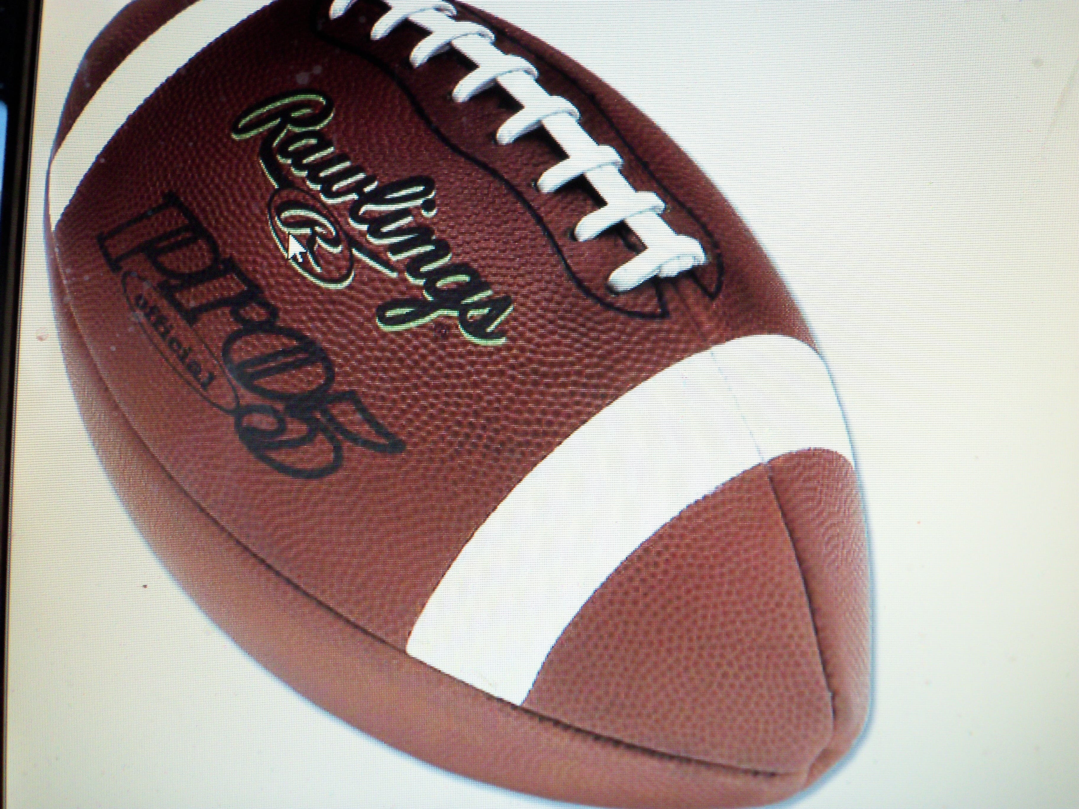 Austin Scott Wants To Concentrate on Football | South Whitehall, PA Patch