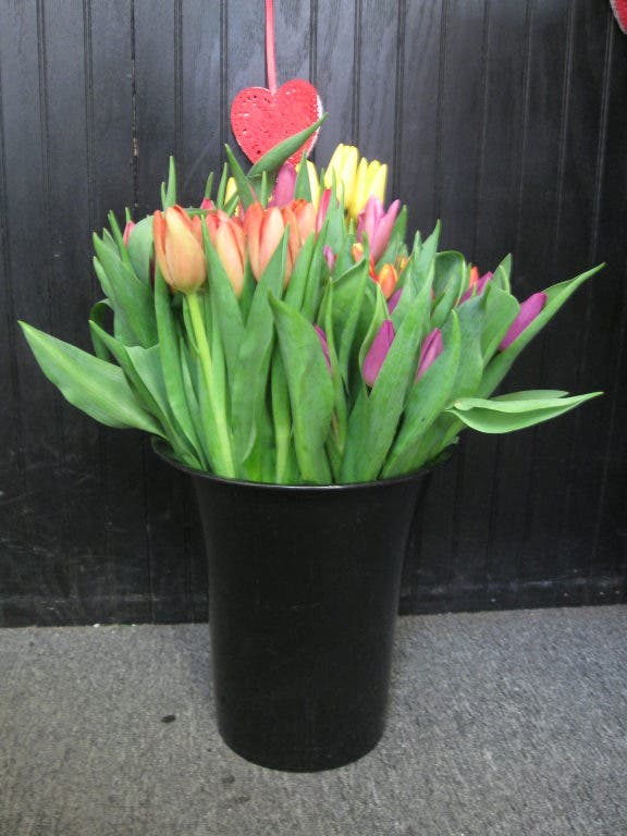 It's Your Business: Carabetta Florist | Meriden, CT Patch