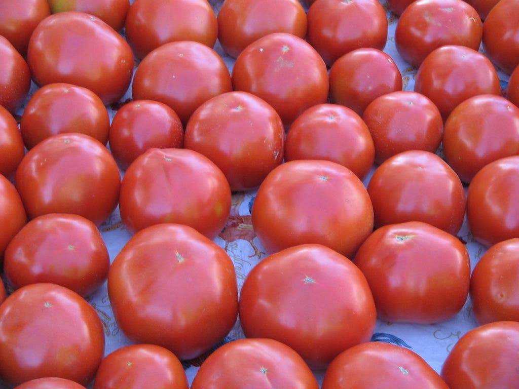 Clayton Farmers' Market: Meet Kim Vogel of Eilerman Brothers Orchards ...