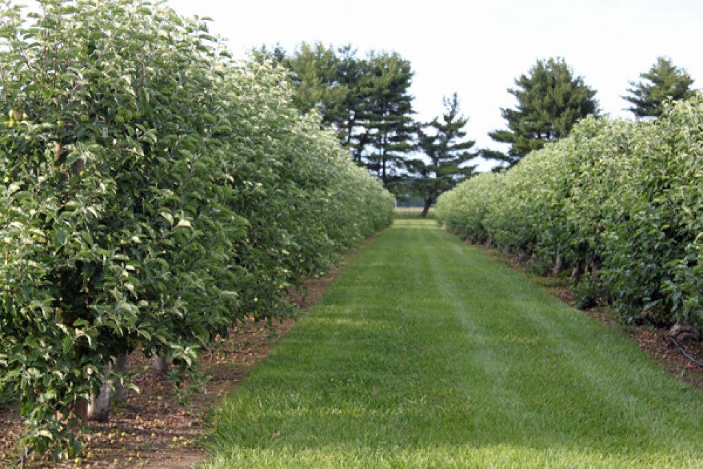 Bucks County Foodshed Alliance Gemmill farm tour draws a crowd ...