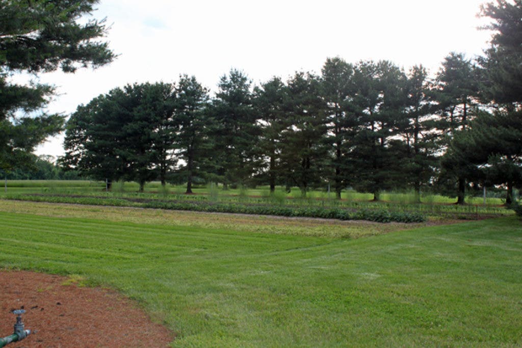 Bucks County Foodshed Alliance Gemmill farm tour draws a crowd ...