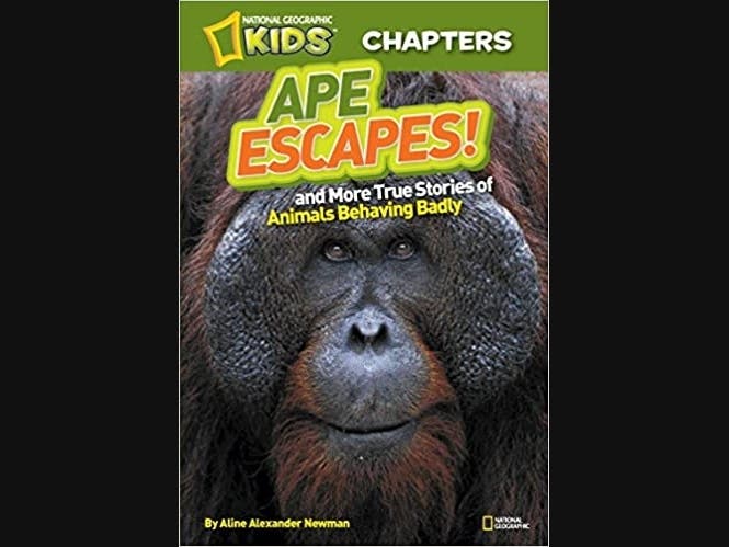 Book Review: Dog Finds Lost Dolphins | Columbia, MD Patch