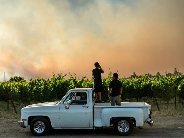 Point Fire Nearly Contained, Evacuations Lifted | Healdsburg, CA Patch