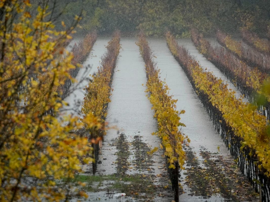 Napa County Under Flood Watch | Napa Valley, CA Patch
