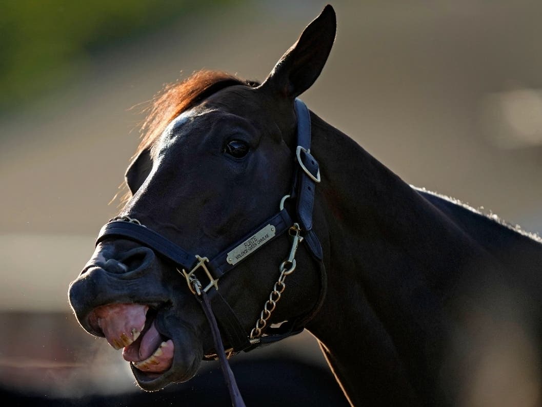 19 Horses To Tangle In Wide-Open 149th Kentucky Derby As Cast Changes ...
