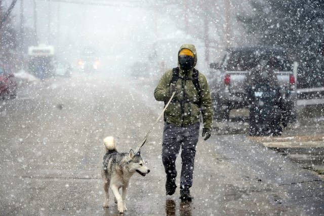 California Weather: 21 Photos Show Surreal Winter Over Last Month ...