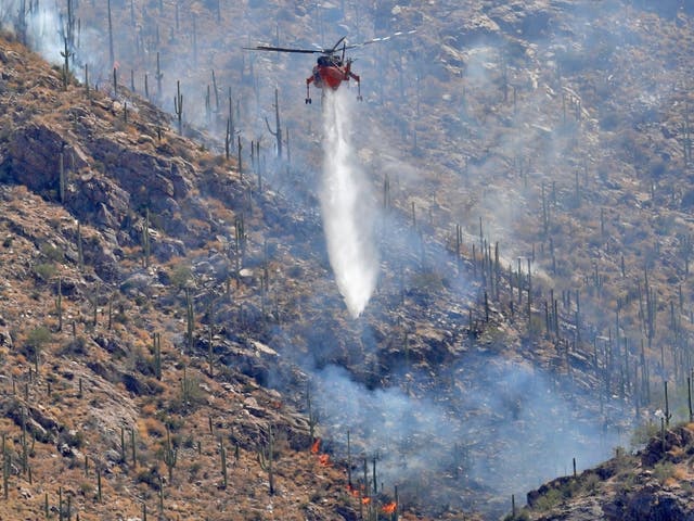 Bush Fire Near Phoenix Nears 90,000 Acres; Apache Lake Evacuated ...