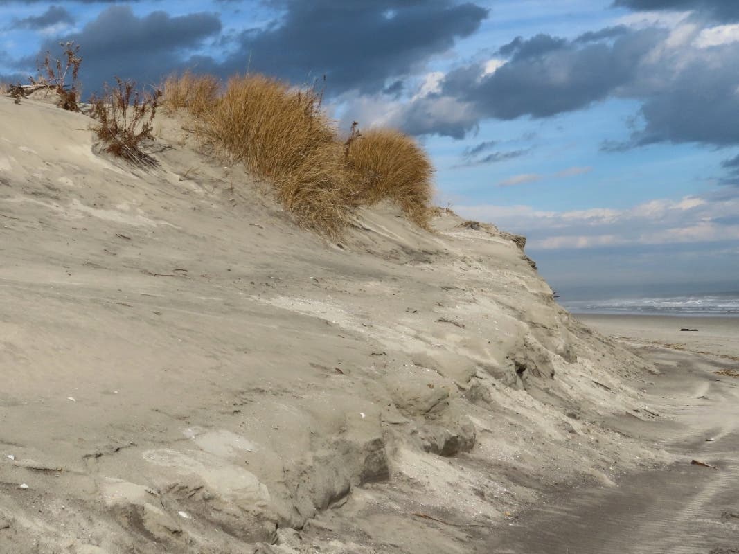 Ocean Breaches Dunes In Jersey Shore Town | Ocean City, NJ Patch