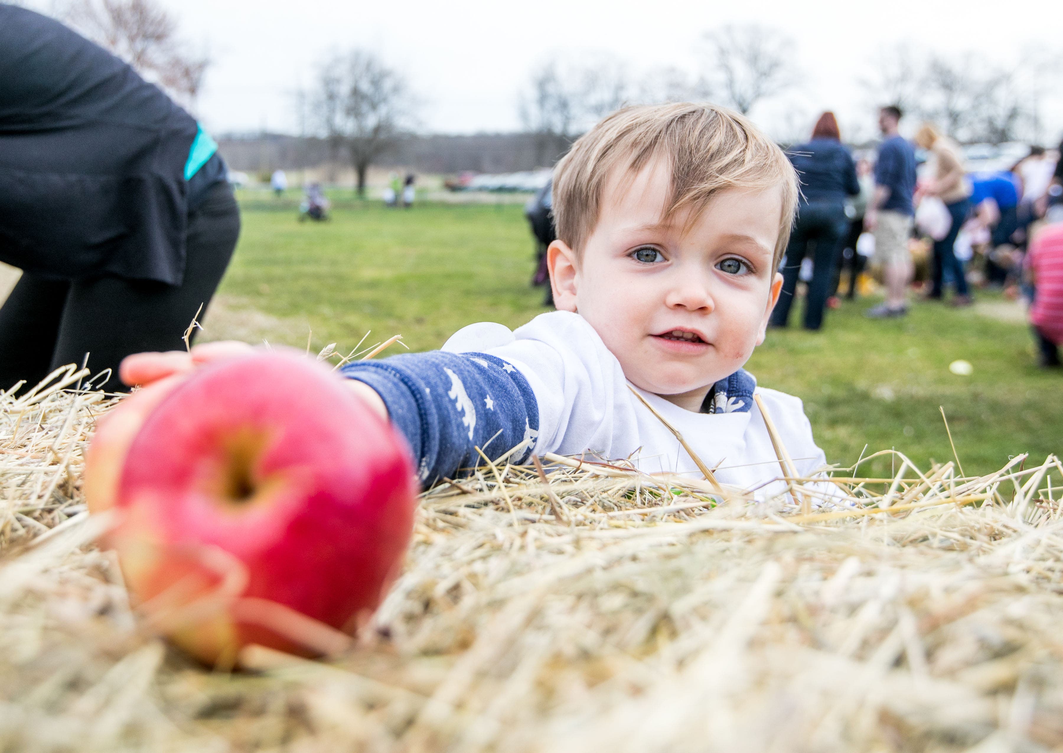 Apr 11 | Spring Apple Hunt at Lyman Orchards | Wallingford, CT Patch