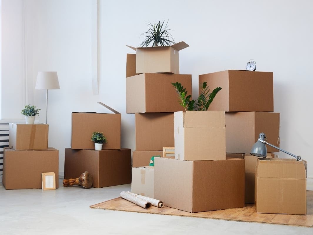 9 Things To Do Before You Move Into A New Home | DealTown, US Patch