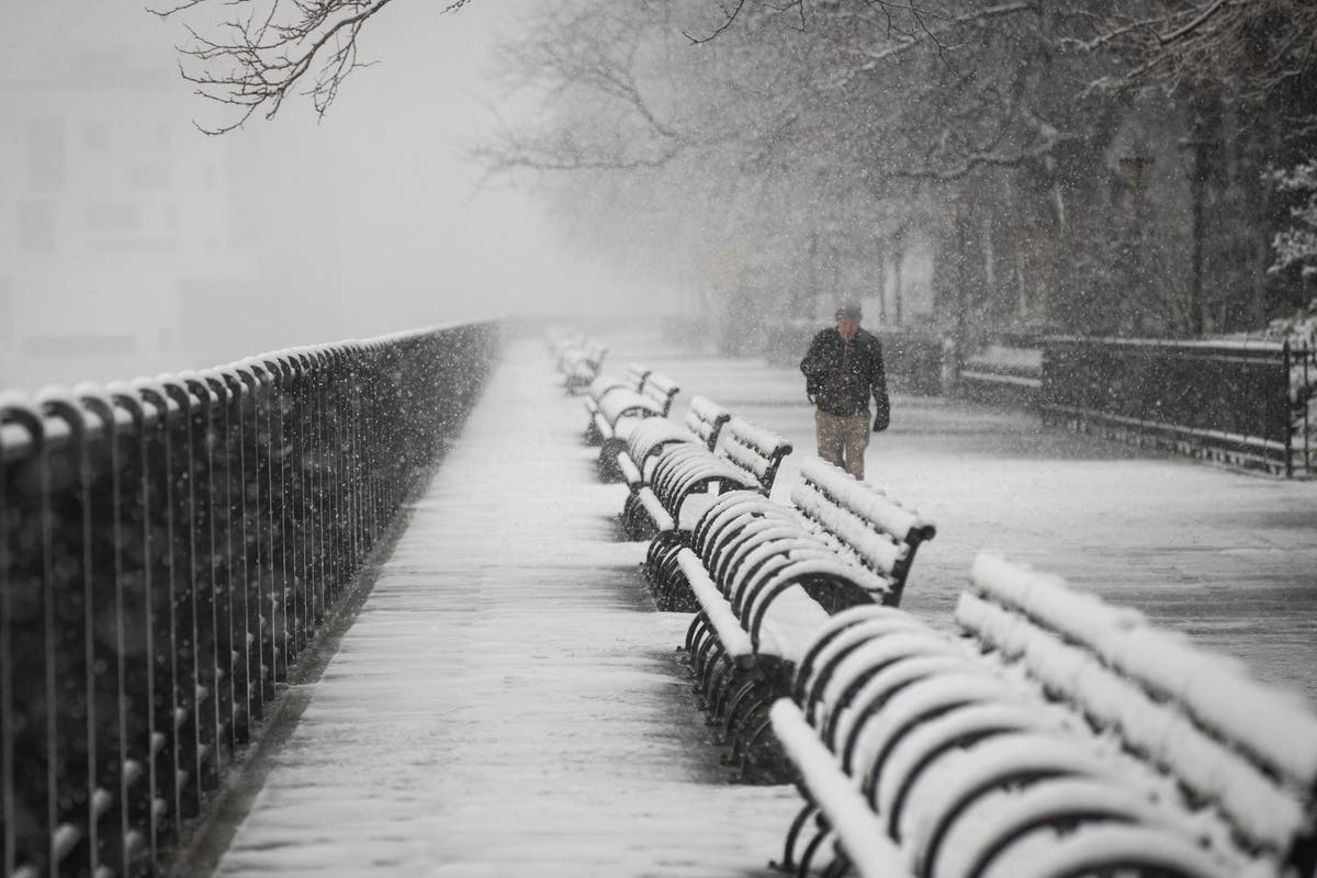 Winter Storm Warning In DC: What To Expect | Washington DC, DC Patch