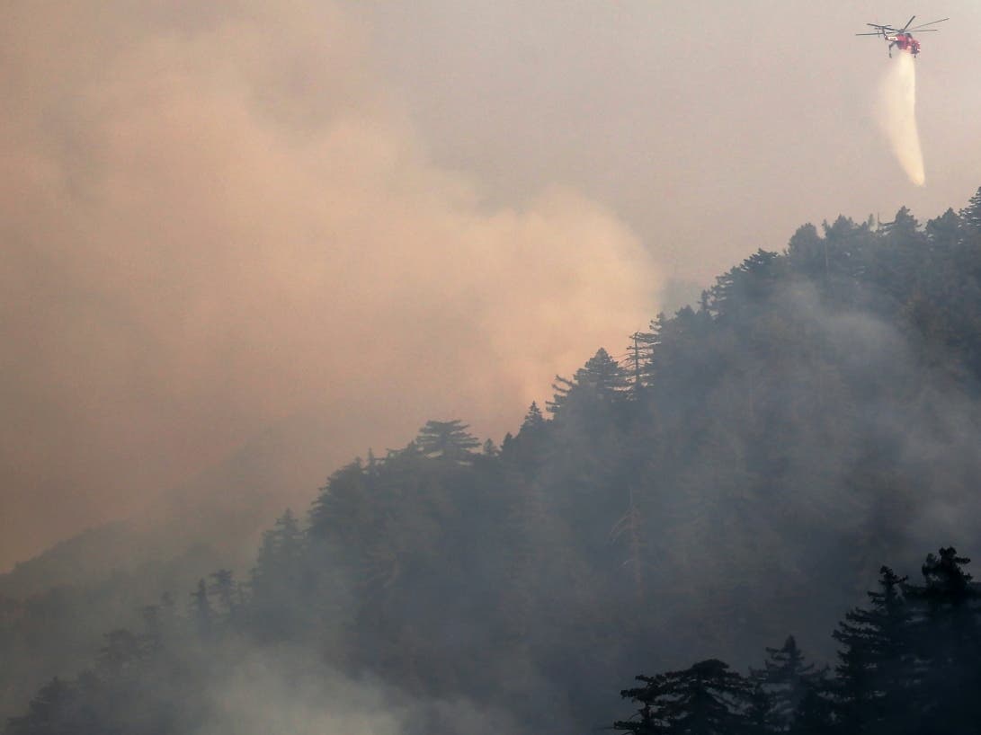 Bobcat Fire 50% Contained, Residents Begin Returning Home | Los Angeles ...