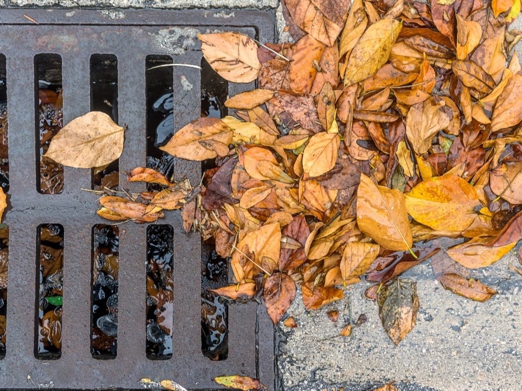 'Adopt-A-Drain' Launches In 7 Puget Sound Cities | Sammamish, WA Patch