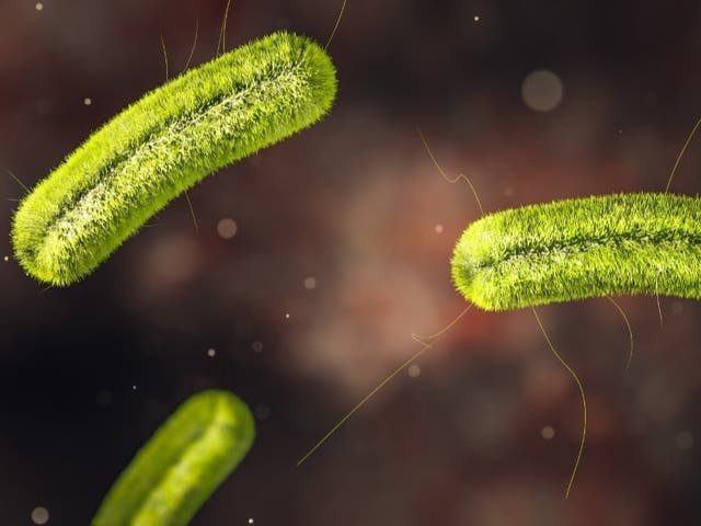 New Listeria Outbreak In WA, 9 Other States Investigated By CDC ...