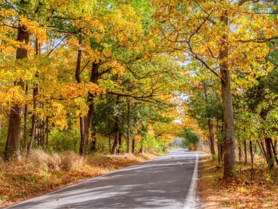 2022 Fall Foliage Peak Map See When Michigan s Fall Colors Are Best