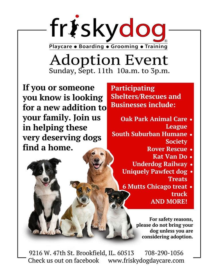 Brookfield s Frisky Dog Daycare Hosts Pet Adoption Event Sept 11 La Brookfield s Frisky Dog Daycare Hosts Pet Adoption Event Sept 11 La