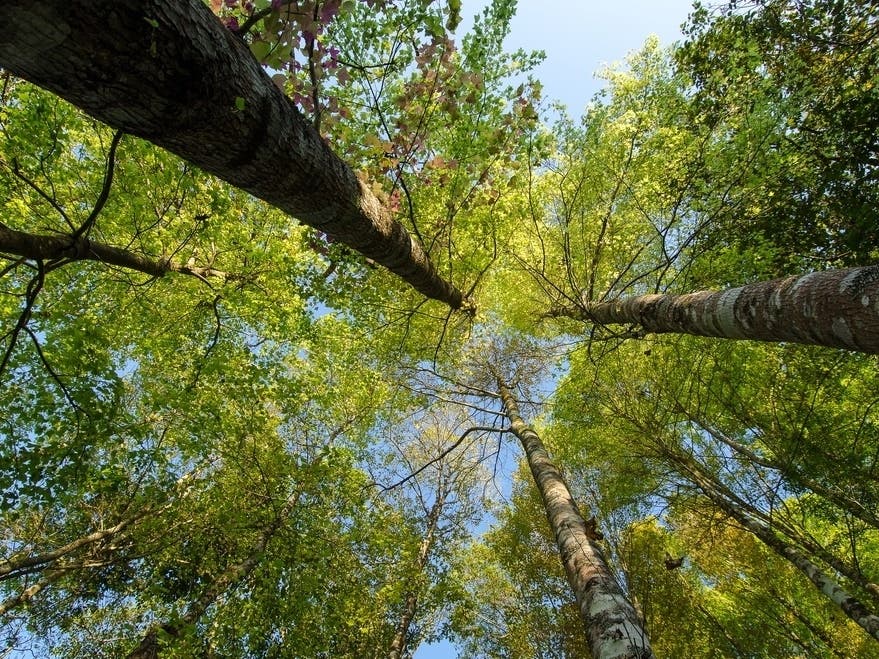 Fairfield Conservation Commission To Review Sasco Hill Easement Work ...